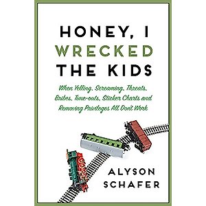 Honey, I Wrecked The Kids