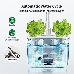 Ahopegarden Indoor Garden Hydroponic Growing System with 60pcs Grow Sponge Replacement