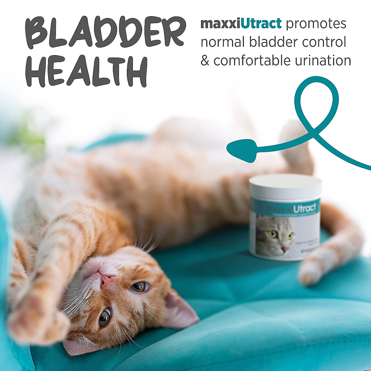 maxxipaws maxxiUtract Urinary & Bladder Support - Powder Supplement for Cats, 3.2oz