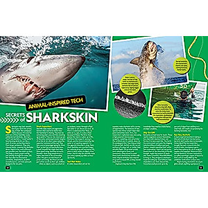 The Coolest Stuff on Earth: A Closer Look at the Weird, Wild, and Wonderful (National Geographic Kids)