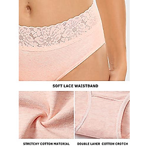 RHYFF Womens Underwear Cotton Bikini Panties Lace Soft Hipster Panty Ladies Stretch Full Briefs 5 Pack(R6004L-Light)