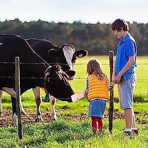 Fabbay 8 Pcs Animal Lick Salt Bulk Himalayan Salt Block Pink Salt Lick Brick Long Lasting Compressed Minerals Block for Animals, Horses, Deer, Cattle, Sheep, and Other Livestock