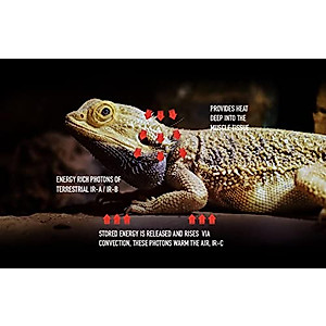 Arcadia Deep Heat Emitter 50watt for Reptile Enclosures