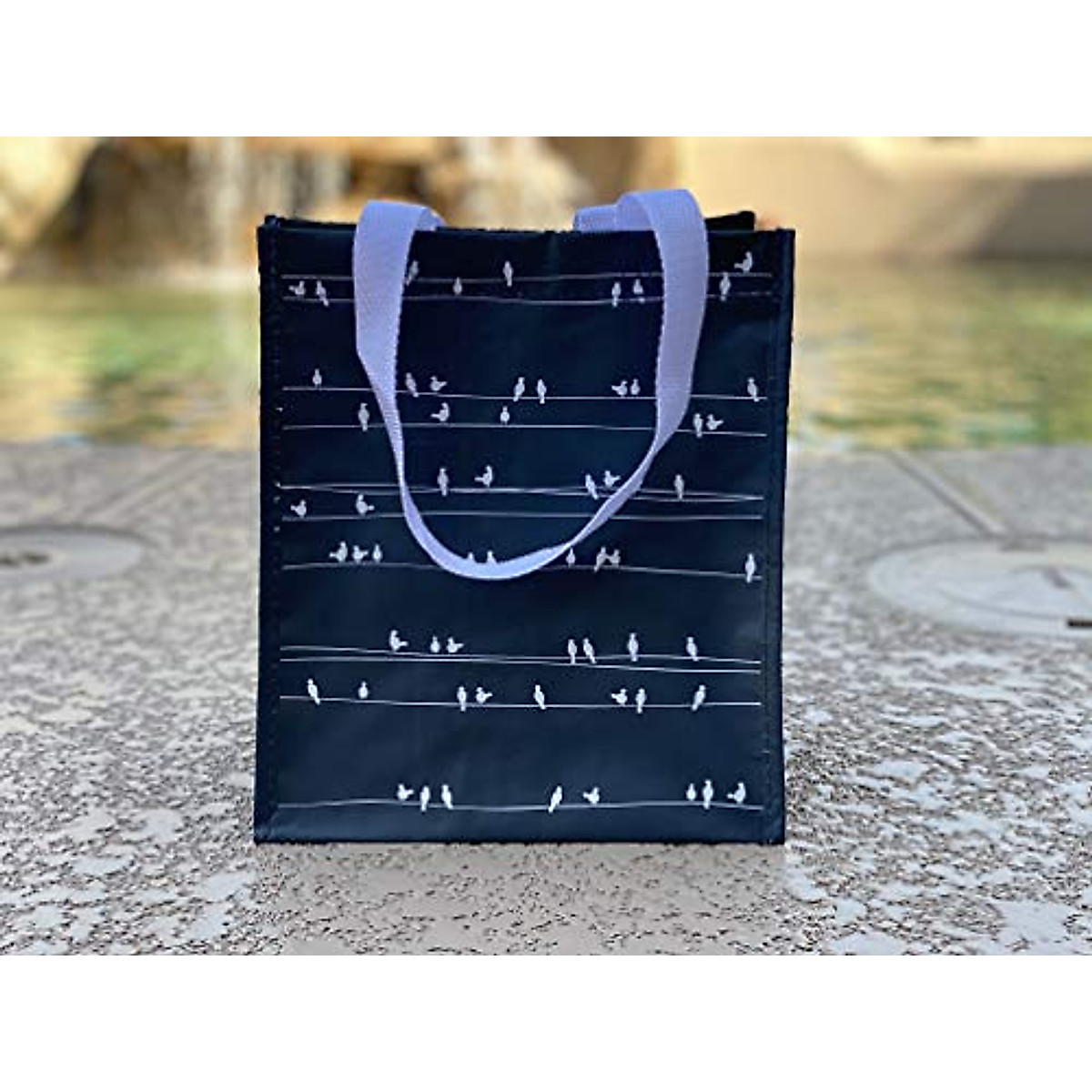 Foremost Reusable Bag Lunch/Gift Birds on a Wire Pattern 3-Pack Multi-Purpose Totes, white and gray, black and white, small (71101-B3)