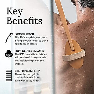 Long Handle Bath Brush for Shower - 20 inch - Back Brush, Shower Brush, Detachable Natural Stiff Bristle Back Scrubber. Great Gift for Men & Women or Elderly (Regular Bristles)