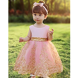 Flower Girl Dress 3-6 M Month Sleeveless Lace Embroidery Special Occasion Dress Ruffles Wedding Birthday Dresses Dressy Up Fancy Tulle Tutu Ball Gown for Infant Party Knee Sundress (8557Pink, 60)