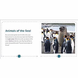 My First Book of Ocean Animals: All About Marine Wildlife for Kids