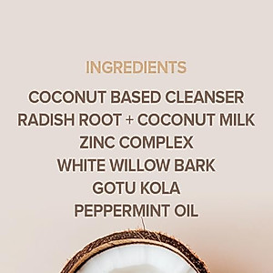 Hairprint Calm Anti-Dandruff Shampoo | Mildest Formula for Scalp Health | Contains White Willow Bark & Plant Oils | Addresses Malassezia & Reduces Dandruff | Dye-Free and Non-Toxic Formula (8 Fl Oz)