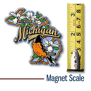 Michigan State Bird and Flower Map Magnet by Classic Magnets, 3" x 3", Collectible Souvenirs Made in The USA