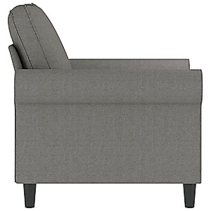 WHOPBXGAD Sofa Chair,Living Room Sofas, upholstered Sofas for Living Rooms, bedrooms, Offices and Apartments,Dark Gray 23.6" Fabric