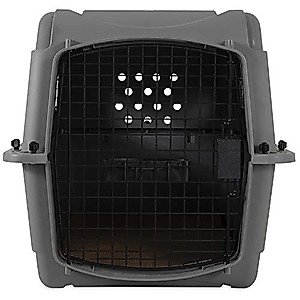 Petmate Sky Kennel Pet Carrier, 28 Inch