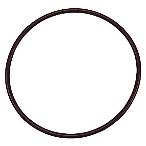 Pentair R172240 O-Ring Lid to Housing