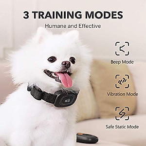 DOG CARE Dog Training Collar with Remote - Rechargeable Training Collar with Beep, Vibration and Shock Training Modes, Dog Collar for Large Medium Small Dogs, Rainproof E-Collar for Dogs