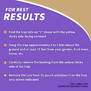 Bonide Bug Beater Stink Bug Trap, Attracts and Catches Stink Bugs Indoors and Outdoors, Long Lasting and Odorless Protection