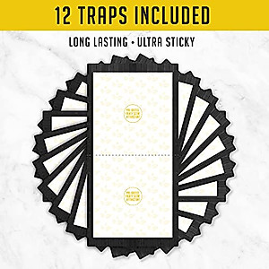 Cricket Traps Indoor (12 Traps) Extra Large Bug Sticky Traps - Non-Toxic Extra Sticky Glue Traps for Bugs - Pre-Baited Fruity Scent Crickets Bug Trap Indoor - Insect Glue Traps for Bugs - Trap a Pest