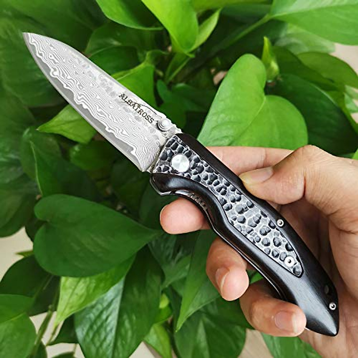 ALBATROSS Ebony wood 7.5" EDC Sharp Damascus Folding Pocket Knife with Liner Lock - Gift Box - HGDK011