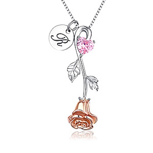 Getname Necklace Personalized Rose Heart Birthstone Necklace with A Initial Round Tag 925 Sterling Silver for Her Women Valentine?¡¥ Day Gifts