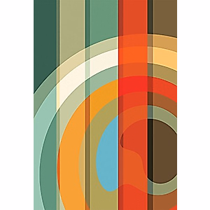 YISUMEI 60x80 Blanket Comfort Warmth Soft Plush Throw for Couch Mid Century Modern Abstract Art