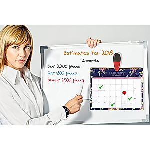 VIP Home Essentials - Thick Plastic Clips with Neodymium Magnet - 3-1/4" Length - Durable Versatile All-Purpose (Clear)