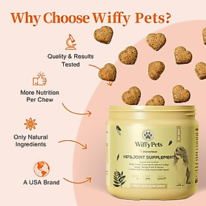 Wiffypets Hip and Joint Supplement Dogs with Glucasamine for Dogs, Hip Pain Relief for Small, Medium and Large Breed, Hip and Joint Chews for Dog MSM, Chondroitin 90 Count, Chicken Flavor