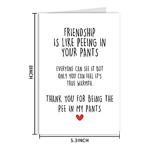 Bhiosng Funny Best Friend Birthday Card, Friendship Day Card for Men Women, Cute Bestie Card, Friendship Gift For Her, Friendship Thank you Card for Him Her