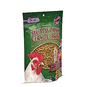 F.M. Brown's Garden Chic. Dried Mealworms for Wild Birds and Chickens - 3oz