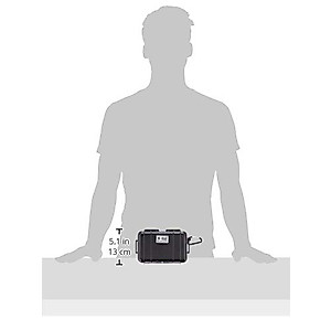 Pelican 1040 Micro Case (Black)