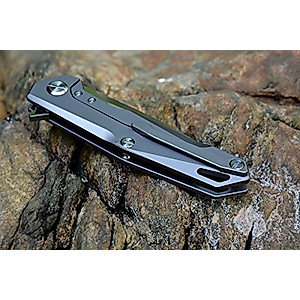 Twosun TS21 Pocket Knife D2 Blade Titanium Handle Drop Point Razor sharp