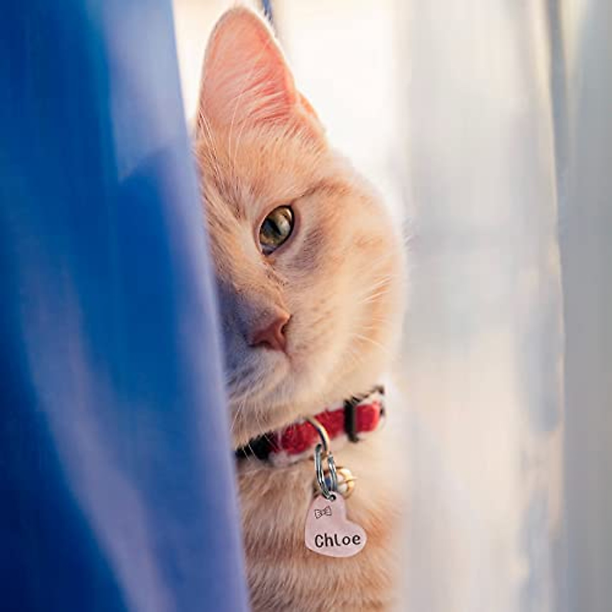 Ultra Joys Dog ID Tag, Custom Dog Tag, Personalized Dog Tag, Dog Tag, Pet ID Tag, Dog Tag for Dogs, Brushed Stainless Steel Heart Dog Tag Rose Gold Small