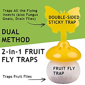 Fruit Fly Trap - Fruit Fly Trap for Indoor, Flying Insect Trap, Gnat Trap Indoor Trap, Fruit Fly Traps for Indoors, Indoor Fly Trap with Yellow Sticky Pads & Attractant for Home, Kitchen