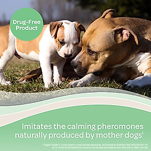 Virbac ZENIDOG Gel Diffuser - Dog Calming Pheromones for Stress Relief, No Electricity Required & Lasts up to 2 Months, Dog Calming Diffuser