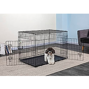 Go Pet Club 42-Inch Two Door Folding Metal Cage with Divider