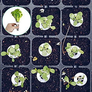 101pcs Seed Pod Kit, Grow Anything Kit Hydroponic Seed Kit Hydroponics Garden Accessories with 20 Grow Baskets, 20 Transparent Insulation Lids, 40 Grow Sponges, 20 Plant Labels