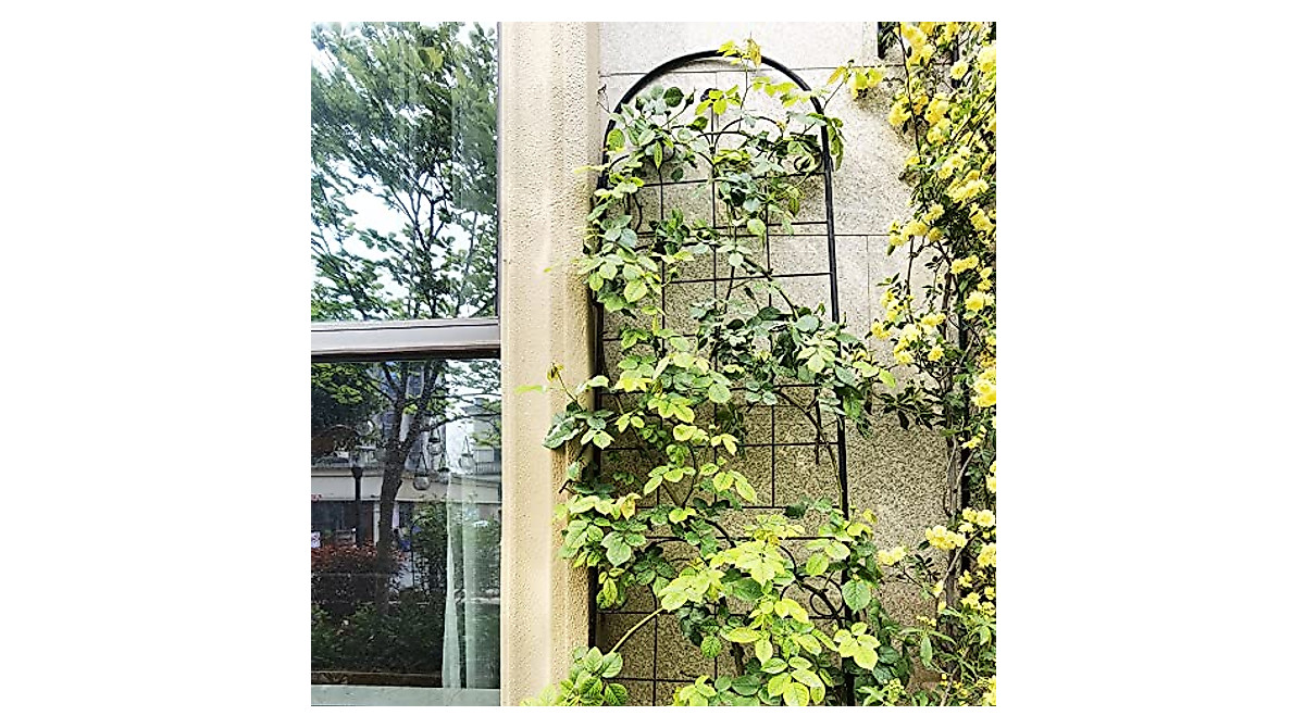 Tidyard 4 Pack Metal Garden Trellis for Climbing Plants