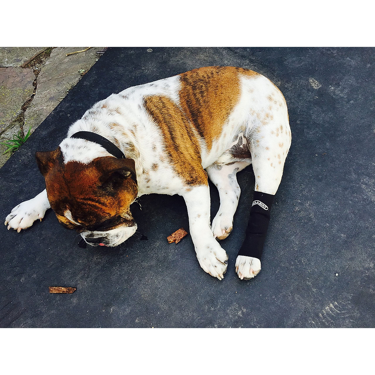 WALKABOUT Compression Sleeve (Black, XSmall