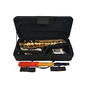 Professional Black Nickel Body Gold Keys E-flat Eb Alto Saxophone Sax with 11 Reeds, Case, Music Book, Mouthpiece and Many Extras, 360-BN