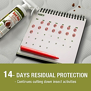 EcoRaider Bed Bug Killer Spray 16 Oz, Green + Non-toxic, 100% Kill + Extended Protection