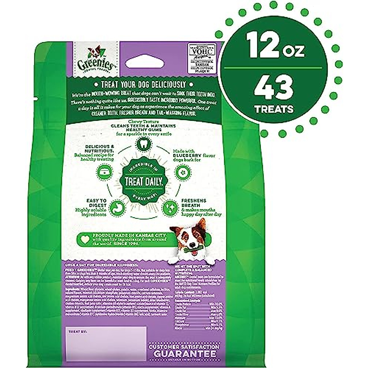 Gn Flavors Blueberry 12oz Teenie 43ct