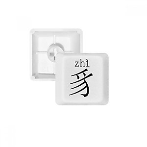DIYthinker Chinese Character Component Zhi Keycap Mechanical Keyboard PBT Gaming Upgrade Kit