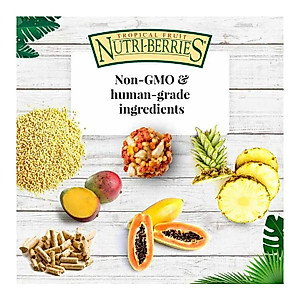 Lafeber Tropical Fruit Nutri-Berries Parrot Food 10 oz bag (2 Pack)