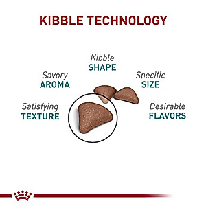 Royal Canin Hairball Care Dry Cat Food, 6 lb bag