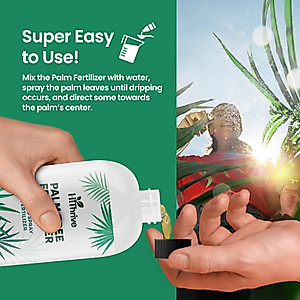 16oz Palm Tree Fertilizer, Premium Plant Food - Palm Fertilizer for Lush Growth of Palm Trees, Rich in Plant Nutrients Plant Fertilizer, Easy Plant Care Liquid Fertilizer - Water Soluble Fertilizer