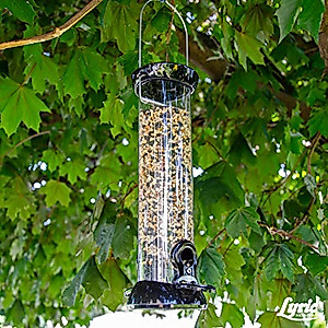 Lyric Chickadee Wild Bird Seed - Sunflower & Nut Premium Bird Food Mix for Chickadees, Nuthatches & Titmice - 20 lb bag