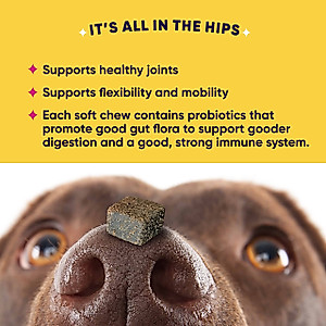 GoodGood Hip + Joint Dog Supplements; Supports Healthy Hips and Joints, Flexibility, and Mobility; Chewable Soft Treats with Glucosamine, MSM, and Turmeric; Probiotics; 90 Natural Flavor Chews
