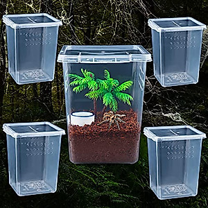 5 Pack Spider Terrariums Breeding Box Insect Hatching Container Acrylic Breeding Box for Arboreal Spider Tarantula Mantis Scorpion Centipede Small Reptiles