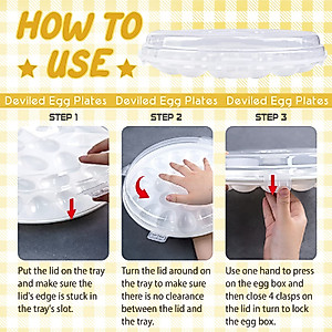 HAKSEN Deviled Egg Tray with Lid, Deviled Egg Platter Container Carrier 22 Slots for Refrigerator Home Kitchen Supplies