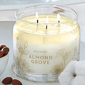PartyLite Almond Grove 3-Wick Jar Candle, Highly Fragranced Clean Burning Glass Candle, 25-45 Hours Burn Time (Almond Grove)