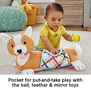 Fisher-Price Baby Tummy Time Toys, 3-in-1 Plush Puppy Wedge with BPA-Free Teether Rattle and Mirror Toys