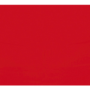 Skeleteen Chiffon Head Neck Scarf - Red Classic Retro Sheer Square Head Scarves Handkerchiefs Handbag Ties for Women and Girls