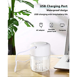 AYOTEE Cordless Electric Small Food Processor, Mini Food Chopper for Garlic Veggie Vegetables Fruit, Salad Mincing & Puree, Kitchen, 1Cup 250ML, BPA Free, White